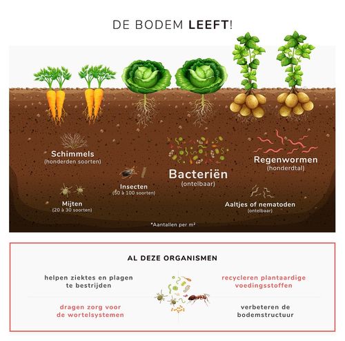 Alles over bio