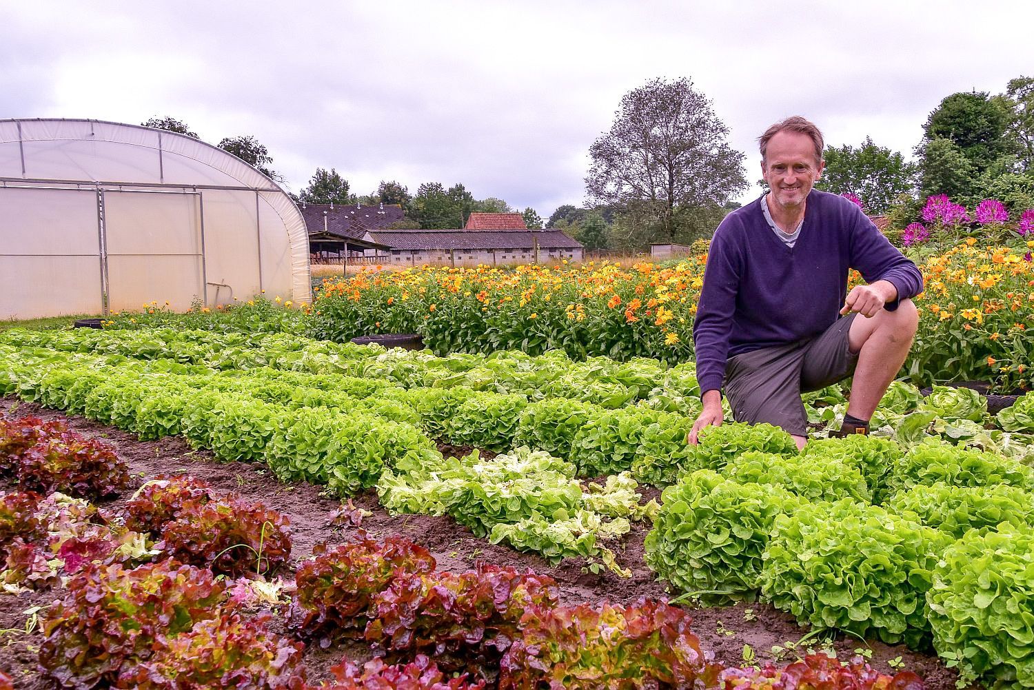 Alles over bio